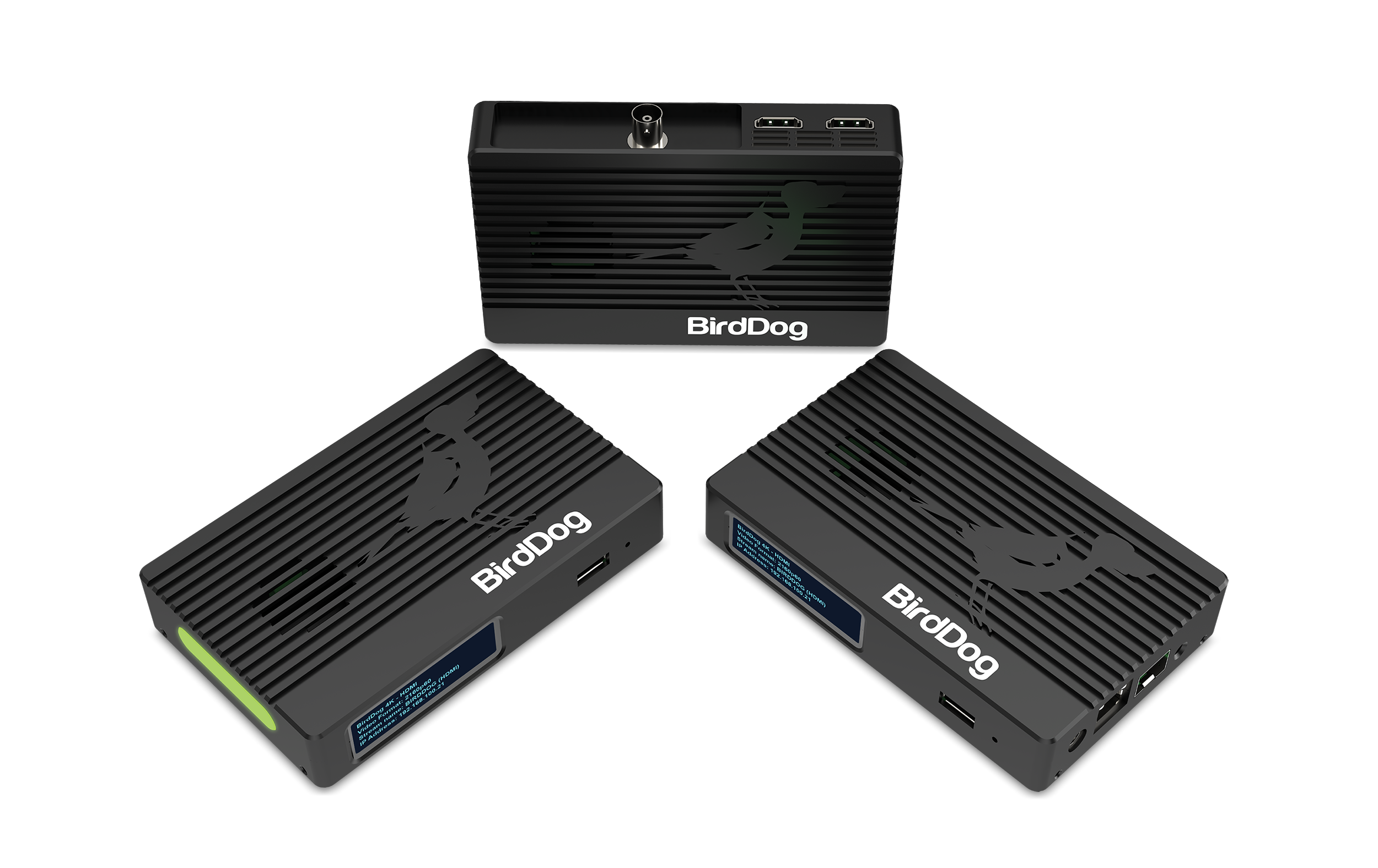 BirdDog 4K HDMI - HDMI2.0, 4Kp60 NDI Encoder/Decoder - NDI konvertere ...